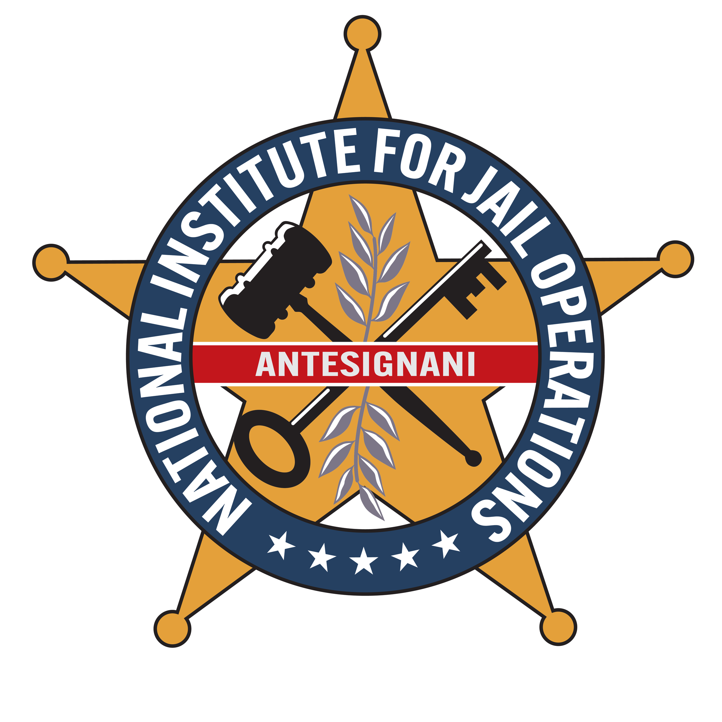 NIJO | National Institute for Jail Operations logo